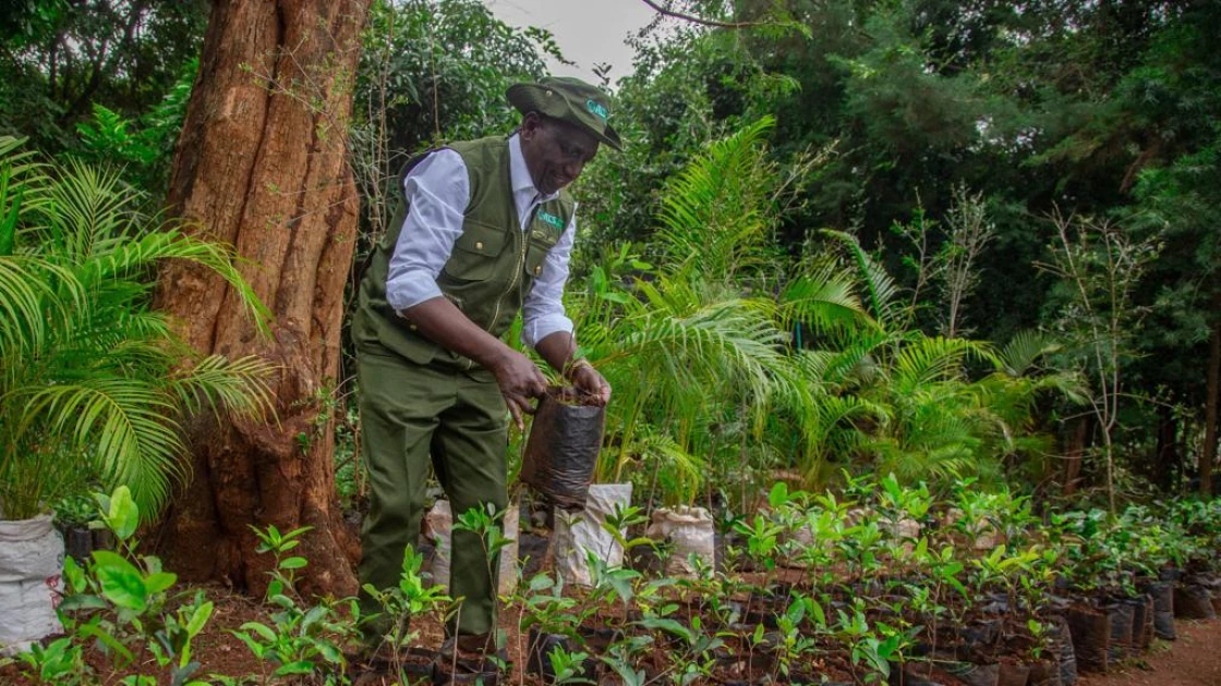 Africa Climate Week & Summit 2023: Driving Green Growth and Climate ...